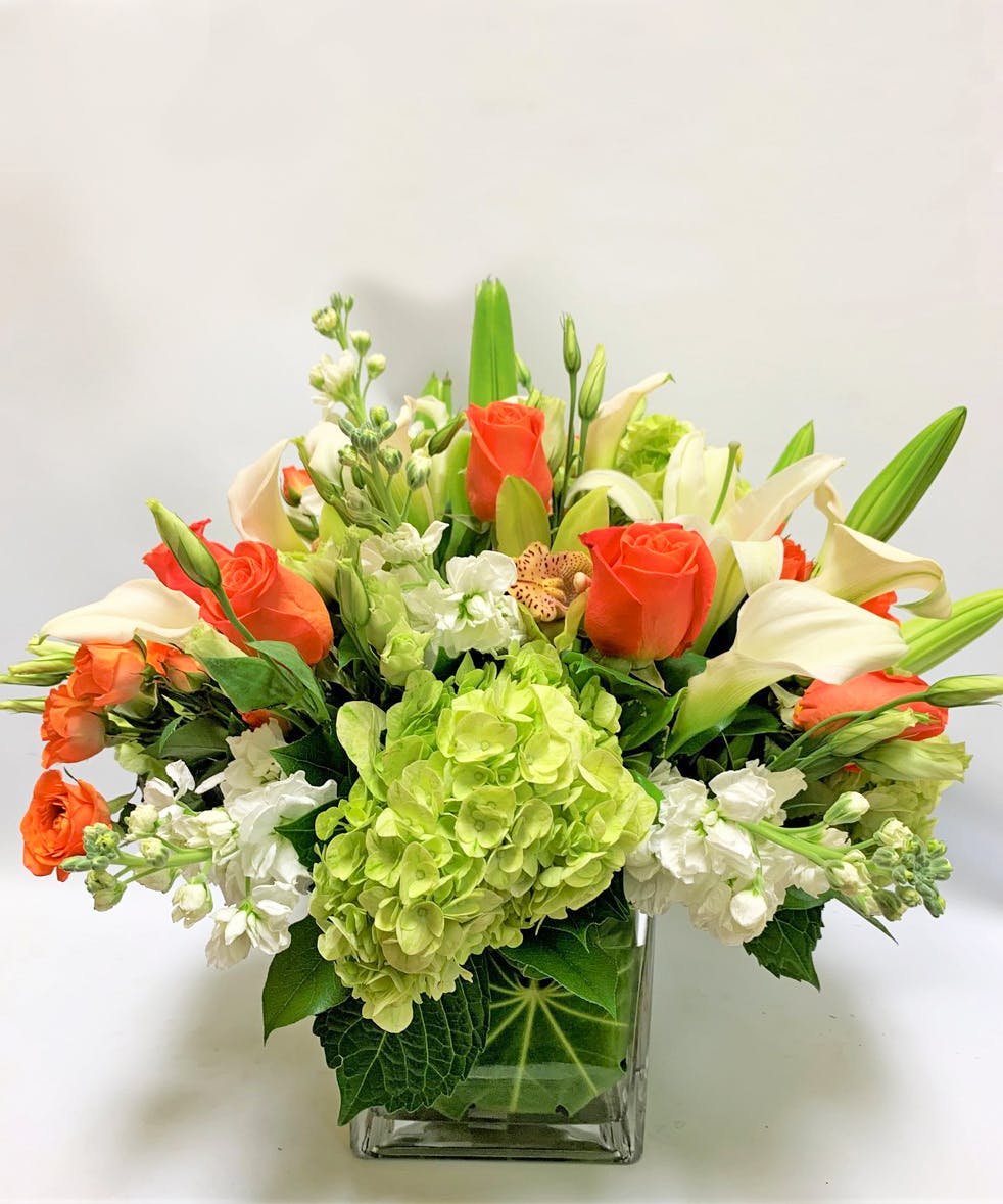Bright Day Cube | flowers Delivery Palm Beach Florida | Flower Kingdom
