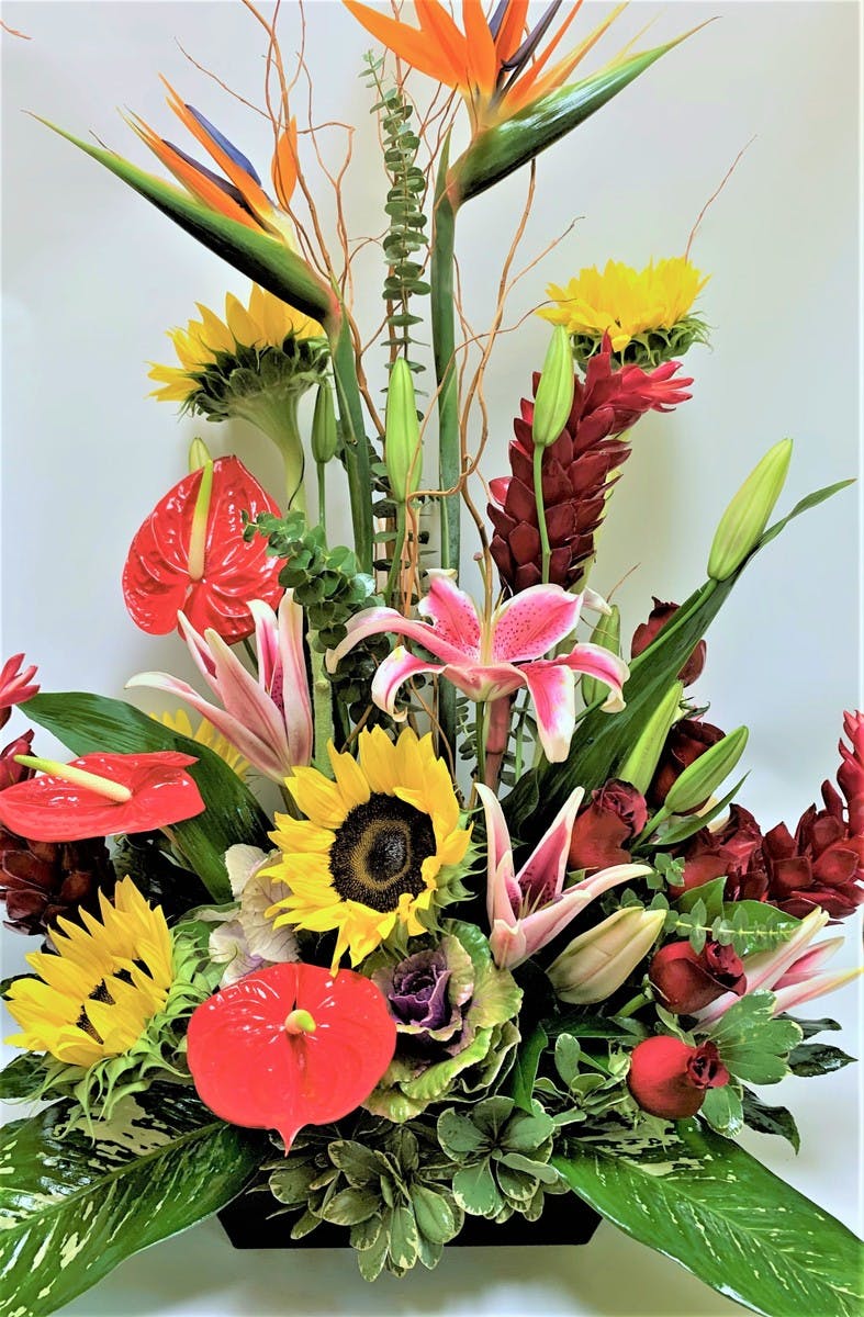 Aloha Paradise| Tropical Flowers Delivery Palm Beach Florida | Flower ...